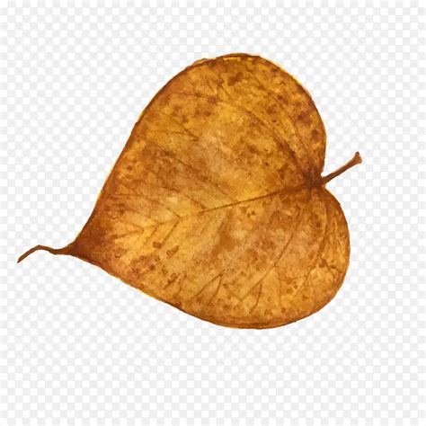 Png Qezdazea