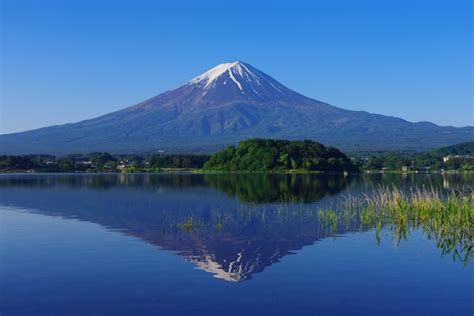 20210523河口湖大石公園から朝の青空快晴の逆さ富士山 西湖根場浜 がんどうあつしの絵画ブログ油絵 赤富士他）atsushi