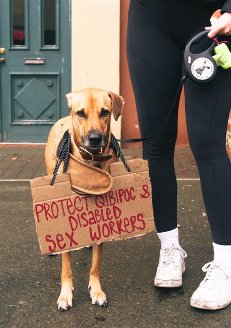 Peers Victoria Resources Society