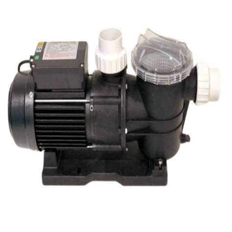 Swimming Pool Pump At 12000 00 Inr In Thane Maharashtra Leo Pumps