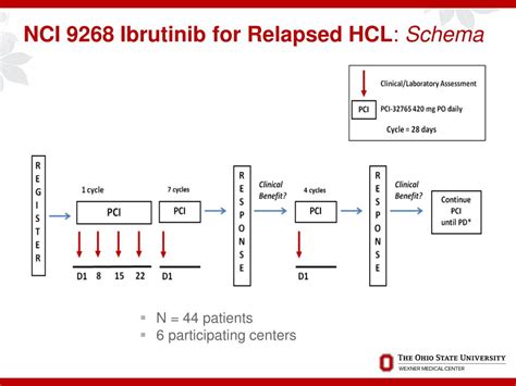 Ppt Ibrutinib First In Class Inhibitor Of Btk Powerpoint
