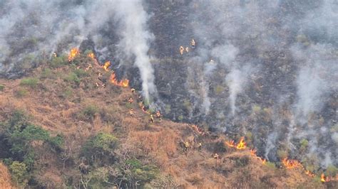 Ecuador Se Registran Más De 11 Mil Hectáreas De Vegetación Consumidas