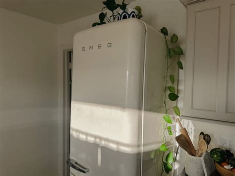 Smeg Fridge Review
