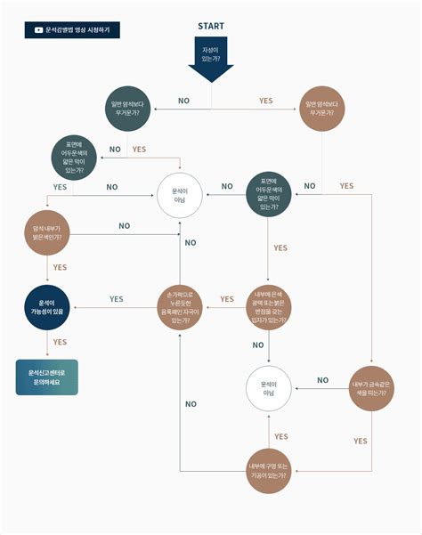 운석감별법 운석이란 운석신고센터