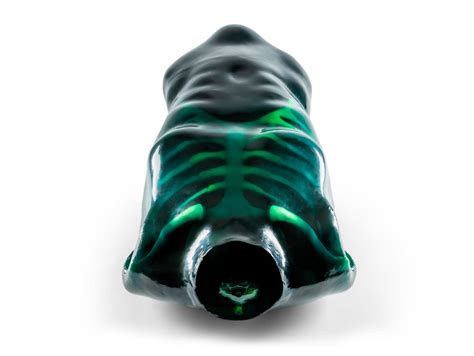 Echo Eddie Advanced Ultrasound Examination Trainer 9100