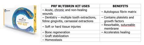 Study Prp Gel Accelerates Skin Wound Healing In Horses