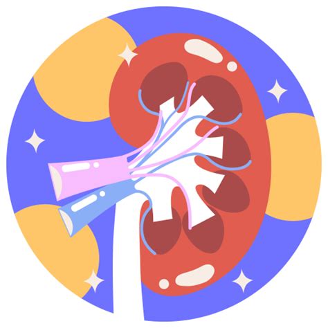 Stickers De Riñón Stickers De Asistencia Sanitaria Y Médica Gratis