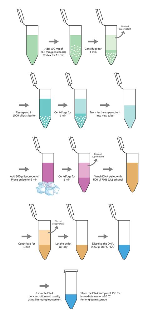 Bacterial Lysis Buffer Recipe Dna Extraction Kit