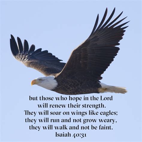Christian Wall Art Isaiah 40 31 Vinyl Wall Decal They Will Soar On