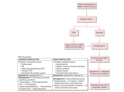 心臟復甦 Cardiac Resuscitation ACLS