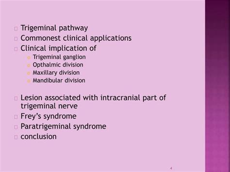 Trigeminal Nerve And Its Importance In Max Fac Surgery Ppt