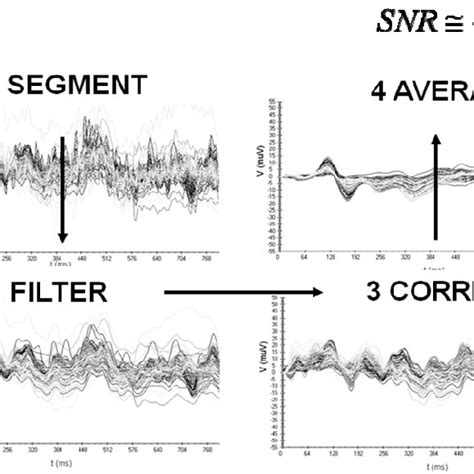 Example Trial Data From Its Raw State Through Filtering Correction And