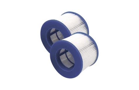 Lot De 2 Filtres Pour Spas Gonflables Fl20