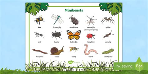 FREE Minibeast Word Mat Teacher Made