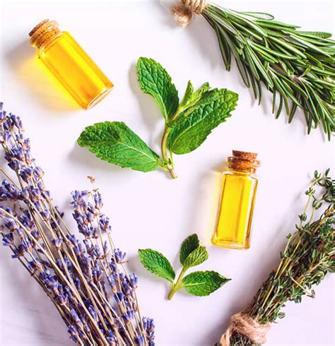 5 Diy Essential Oil Blends For Better Mood Free Printable Mood