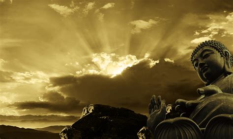 Lord Buddha Background Photos Lord Buddha Background Vectors And PSD