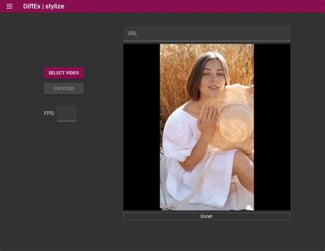 Video To Video Style Transfer With Diffex Desktop Ui Next Diffusion
