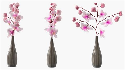Phalaenopsis Orchid Tall Ceramic Vase 3d Model 39 Max 3ds Blend