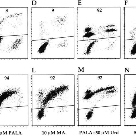 Cell Cycle Effects Of Ump Ctp Utp And Gmp Biosynthesis Inhibitors On Download Scientific Cell Cycle Effects Of Ump Ctp Utp And Gmp Biosynthesis Inhibitors On Download Scientific
