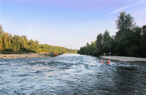 River Water Swimming Free Photo On Pixabay