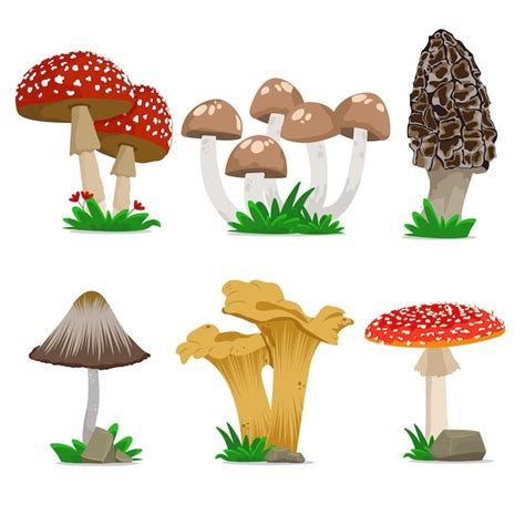 Premium Vector Mushrooms Vector Set Flat Design