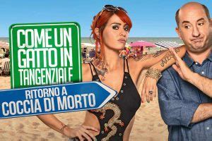 Come Un Gatto In Tangenziale Ritorno A Coccia Di Morto Su Amazon Prime