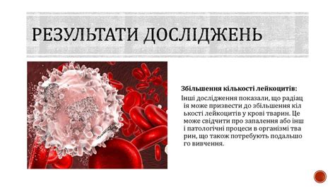 Вплив радіації на кров тварин презентация онлайн