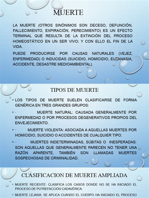 Tipos De Muerte Pdf