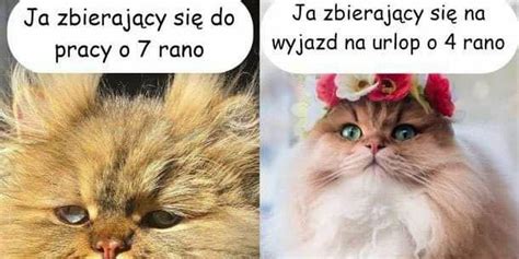 Najlepsze memy o urlopie Rozbawią cię do łez Kobieta