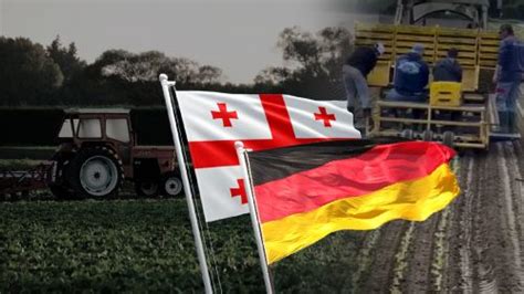 გერმანიაში სამუშაოდ წასულმა ქართველებმა დამსაქმებელს სასამართლო დავა მოუგეს ისინი კომპენსაციას