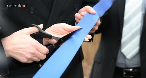 Melonleaf Consulting New Office Launch In Gurugram India