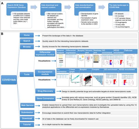 The Scheme Of Data Integration And Manual Curation On The Ncbi Geo A Download Scientific