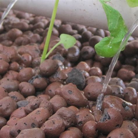 Expanded Clay Sinopro Sourcing Industrial Products