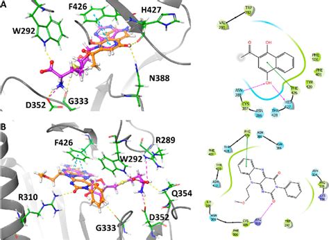 Binding Interaction Of Nsc 111552 And 288387 With Nsp14 A 3d Overlay