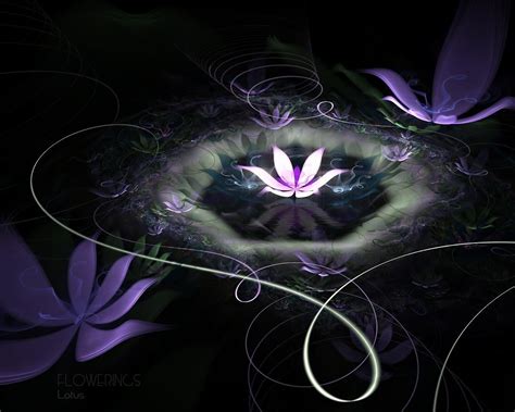 Abstract Lotus Wallpapers Top Free Abstract Lotus Backgrounds