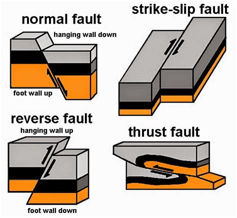 Best 25 Geology Ideas On Pinterest Geological Time Scale Prehistory