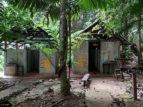 Terokai Khazanah Alam Di Taman Negara Endau Rompin Selai KakiTravel Net