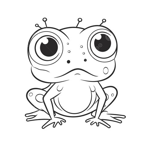 Frog Coloring With Big Eyes Outline Sketch Drawing Vector Frog Drawing Wing Drawing Eyes