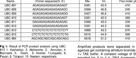 List Of The Primers Used In The Issr Pcr Reaction Download Scientific