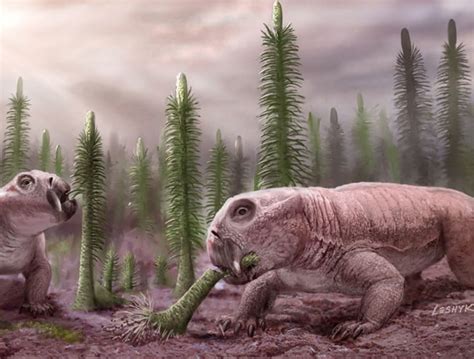 Permian Extinction Decimated Land Species Too