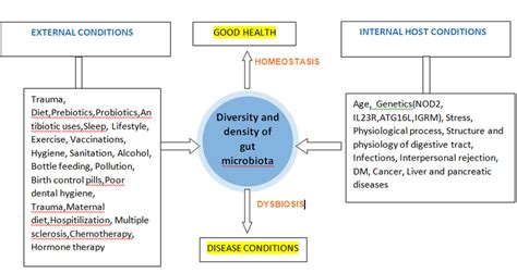 Causes Of Gut Microbial Dysbiosis Download Scientific Diagram