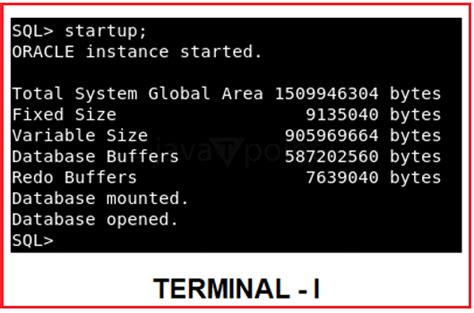 Oracle Database Shutdown Procedure Tpoint Tech