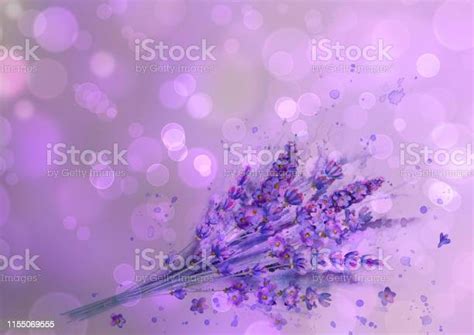 수채화 라벤더 꽃다발입니다 라벤더 꽃 수채화 Bokeh 효과 보라색 배경에 밝아진 꽃 식물에 대한 스톡 벡터 아트 및 기타