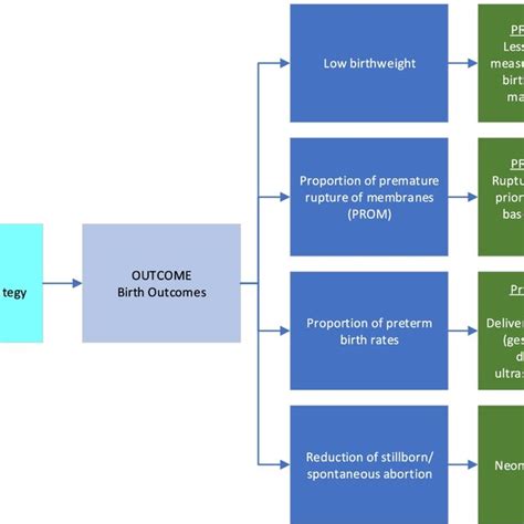 Vaginal Discharge Syndrome Management Guidelines Of The Department Of Download Scientific