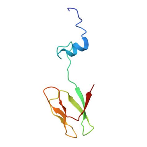 Rcsb Pdb 7wts Cryo Em Structure Of A Human Pre 40s Ribosomal Subunit