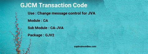 Gjcm Sap Tcode For Change Message Control For Jva