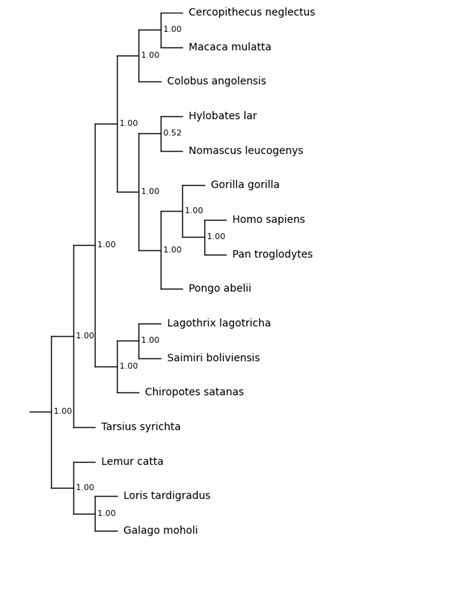 usage and parameters — plot phylo 0 1 6 documentation