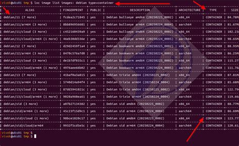 How To Find Virtual Machine VM Image With Incus LXD NixCraft