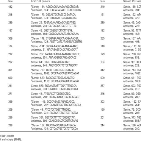 Electrophysiological And Biochemical Analysis Of 4 Types Of Neocortical