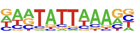 Github Truong128 Deep Learning Predicting De Novo Promoters Tss Ebv This Is A Proficiently